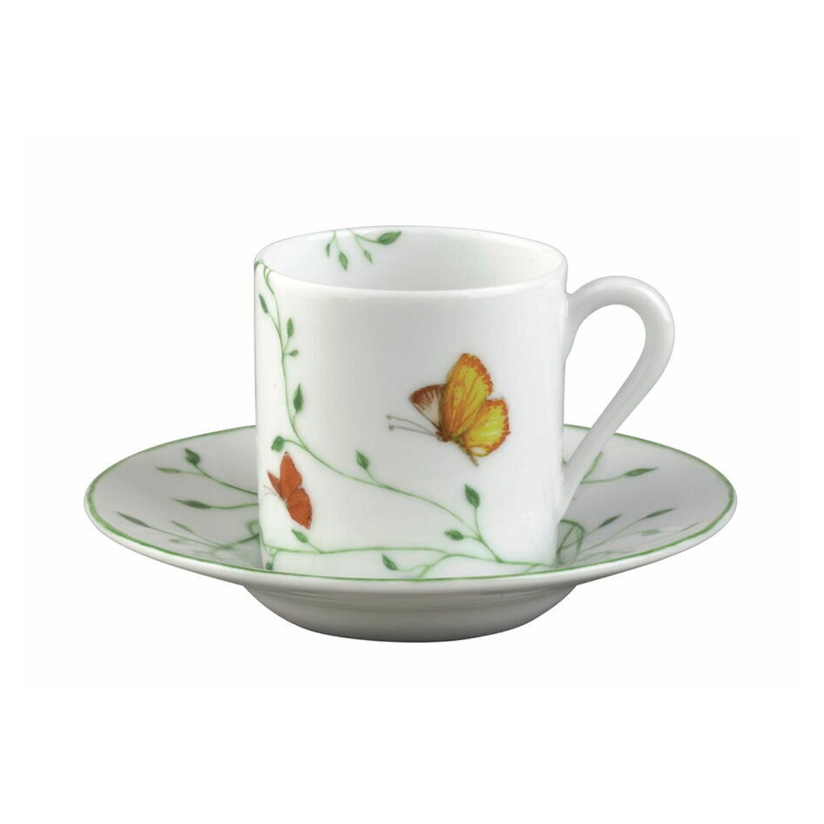 Raynaud Histoire Naturelle Coffee Cup – David Shuttle Ltd