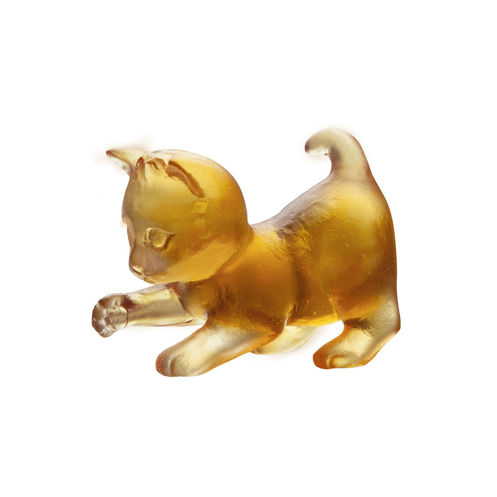 Daum Playing Amber Mini-Kitten – David Shuttle Ltd