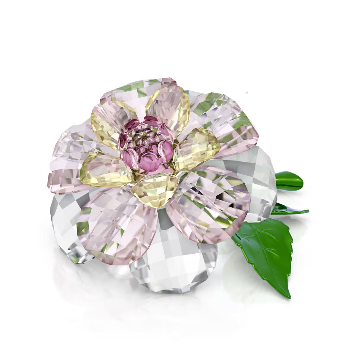 Swarovski Florere Camellia – David Shuttle Ltd