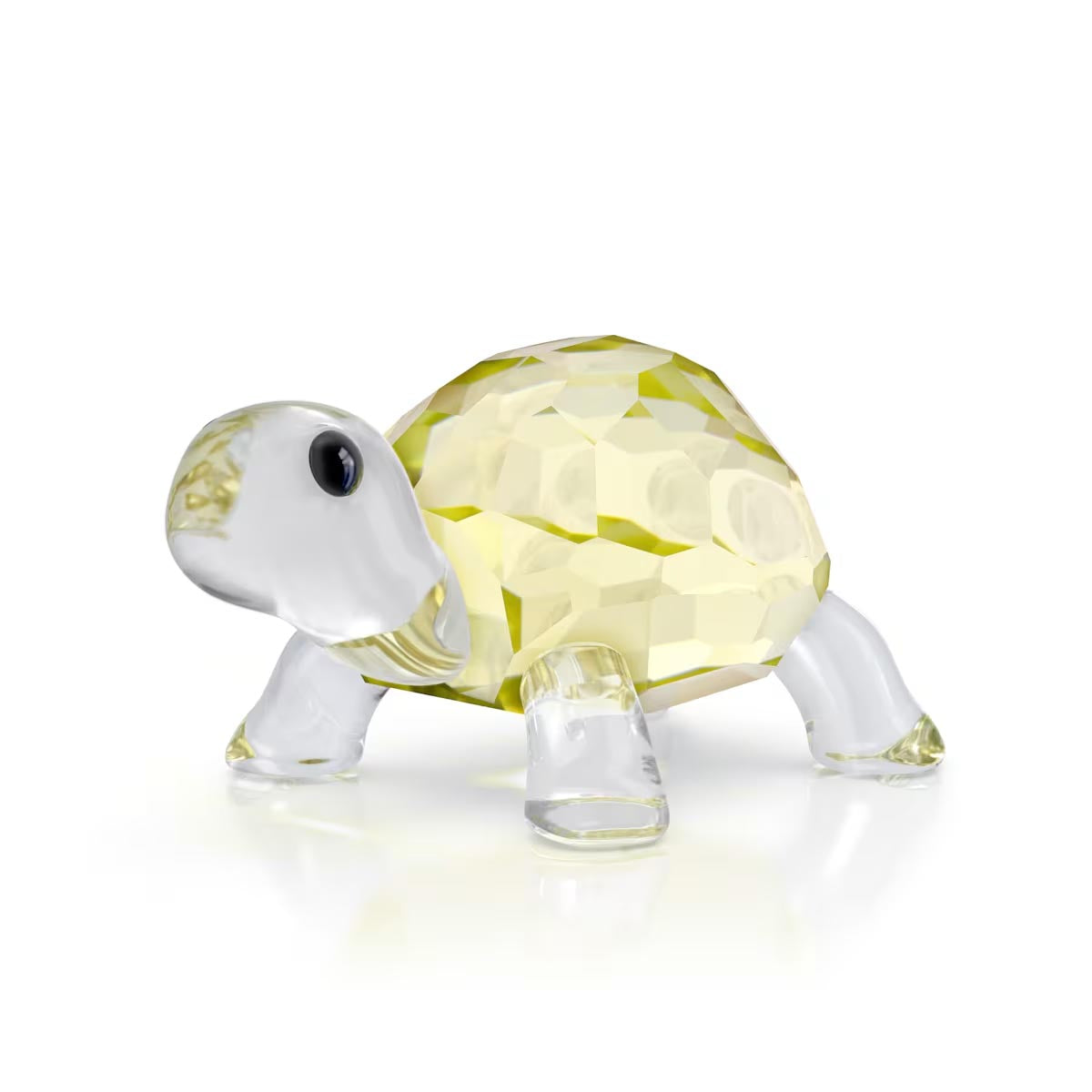 Swarovski Idyllia Baby Tortoise – David Shuttle Ltd