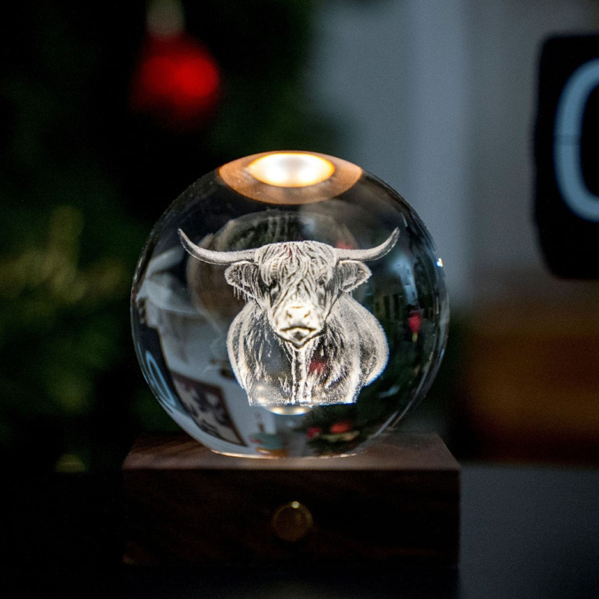 Gingko Amber Crystal Light, Highland Cow – David Shuttle Ltd
